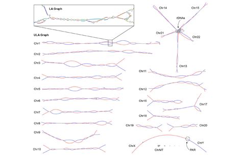 Tricorder Tech Nih Software Assembles Complete Genome Sequences On Demand Astrobiology