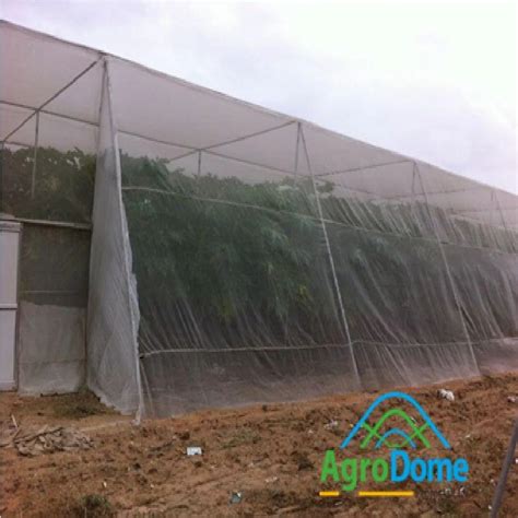 Shade Net House For Papaya Orchards Farming Wire Rope Flat Roof Shade Net House At ₹ 220