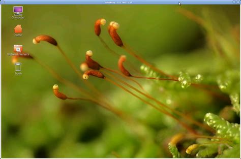 X11rdp Ubuntu 11 10 Gnome 3 Xrdp Customization New Hotness Updated Scarygliders