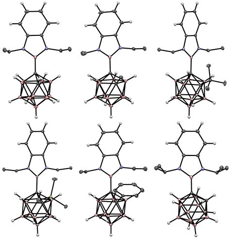 Combining Two Types Of Boron In One Molecule To The 60th Anniversary