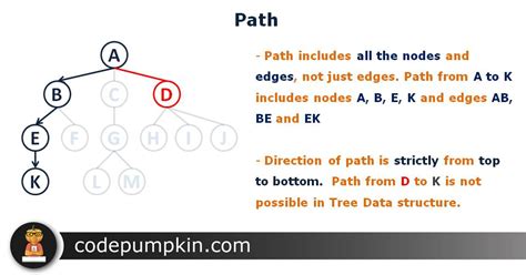 tree data structure terminologies set 2 code pumpkin