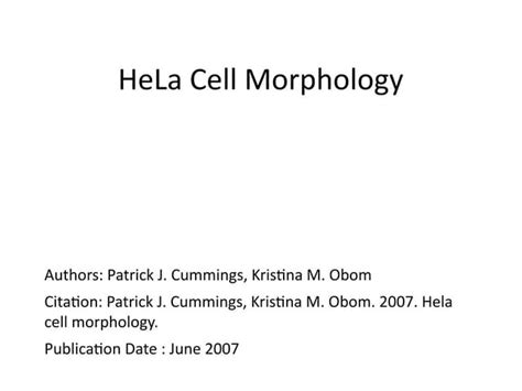 Hela Cell Morphology And Cell Culturepptx