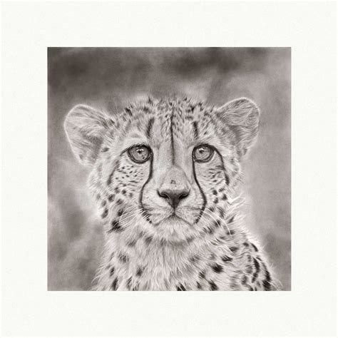 Cheetah Print Drawing Steps
