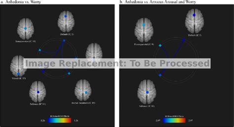Between Network Functional Connectivity Modulated By Anhedonic Download Scientific Diagram