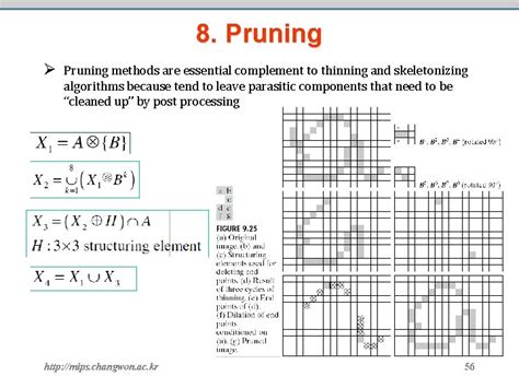 Digital Image Processing Chapter Morphological Image Processing