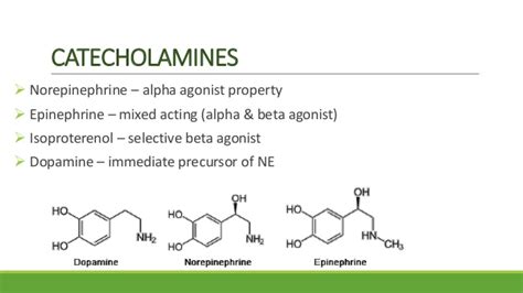 Test Results Catecholamines 2steps2health