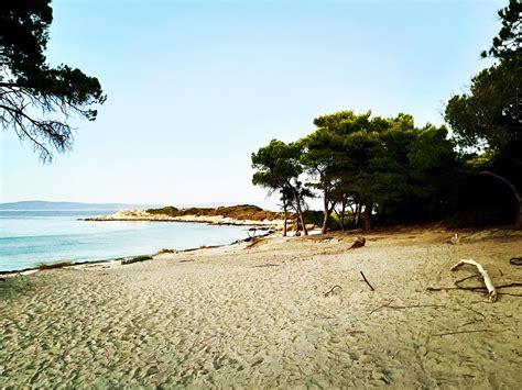 Monassiart Monassiart Added A New Photo