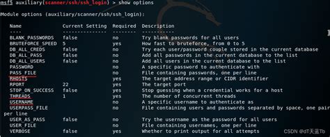 ssh弱口令渗透测试 zenmap 扫描linux所在网段 csdn博客