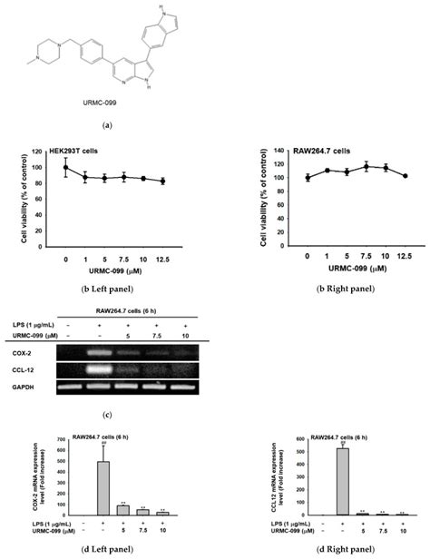 Mlk3 Regulates Inflammatory Response Via Activation Of Ap 1 Pathway In