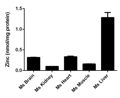 Zinc Assay Kit Ab102507 Abcam