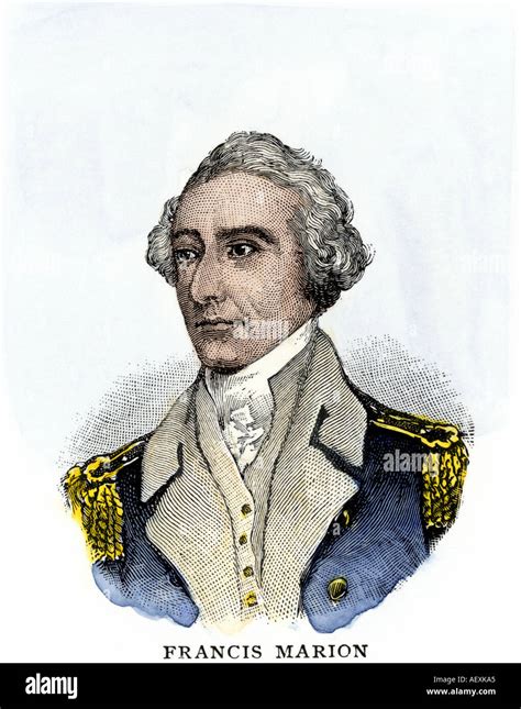What Swamp Fox At Quyen Elliott Blog