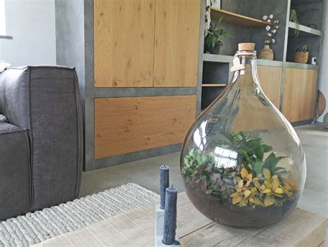 Mini Ecosysteem Makkelijke Kamerplanten Zonder Verzorging