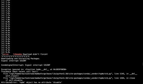 Offline Mode Attempts To Download And Does Not Accept `ctrlc` Abort