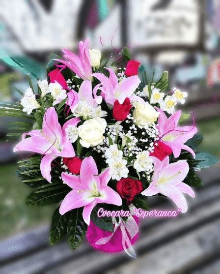 Cvece U Kutiji Mix Cvece Dostava Cveća Beograd Buketi Cveća Cvećara Esperanca