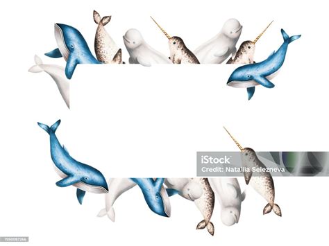 벨루가 푸른 고래 일각고래가 흰색 배경에 격리된 수채화 프레임 손으로 그림 현실적인 북극과 남극 해양 포유류 디자이너 장식 엽서 포장지 스크랩북 표지 로고 초대장 포스터 및
