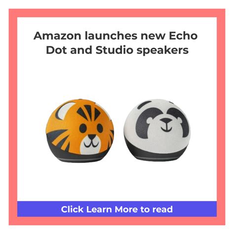 Echo Dot Doesn T Respond To Voice