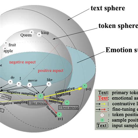 The Illstration Of Combining The Contrastive Learning And Fine Tuning