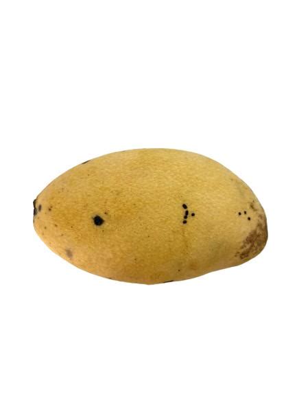 Mango Instance Segmentation Model By Mango Defect Detection