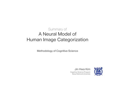 Summary Of A Neural Model Of Human Image Categorization Ppt