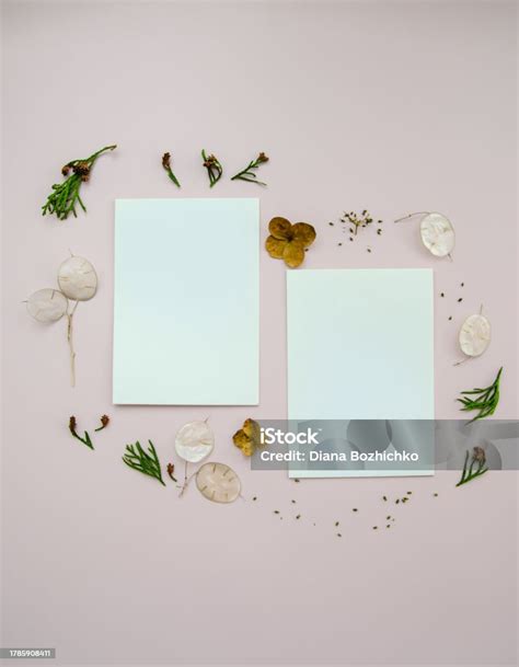 분홍색 배경에 빈 인사말 카드 와 말린 Lunaria 및 치자나무 꽃과 씨앗 Thuja 새싹 및 가지 여성 정물 구도 평평한 위치 평면도 개념에 대한 스톡 사진 및 기타