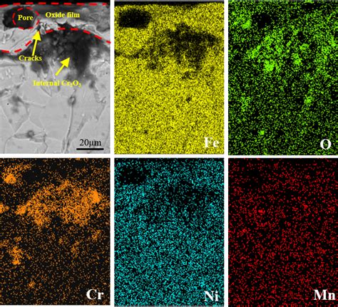 F J Eds Line Scan Result In D K Eds Line Scan Result In E Download Scientific
