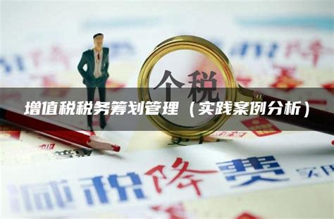 增值税税务筹划管理实践案例分析 灵活用工平台