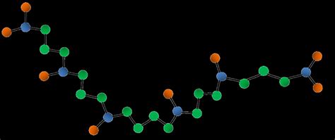 Sketch Of A Squalane Molecule Represented By A United Atom Model Where