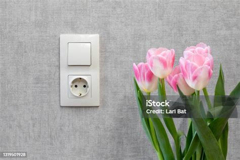 전기 조명 스위치와 빈 회색 벽에 접지 콘센트 전기 스위치와 전기 콘센트와 벽에 튤립의 꽃다발 0명에 대한 스톡 사진 및 기타