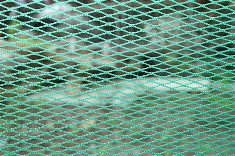 그물 네트 그물망 Pixabay의 무료 사진