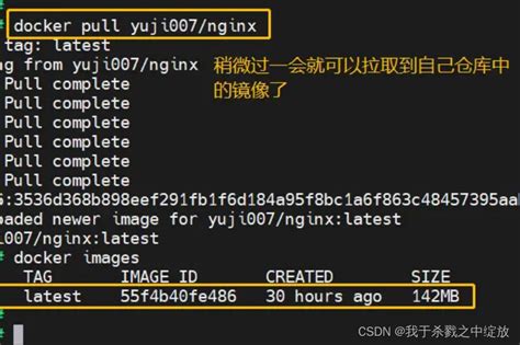 docker基本原理和镜像管理命令 docker 镜像管理命令详解 csdn博客
