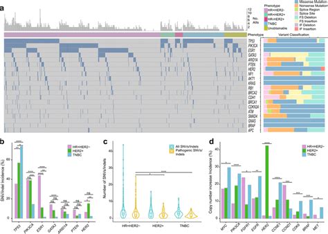 Mutation Profile Of Advanced Breast Cancer Determined By Ctdna