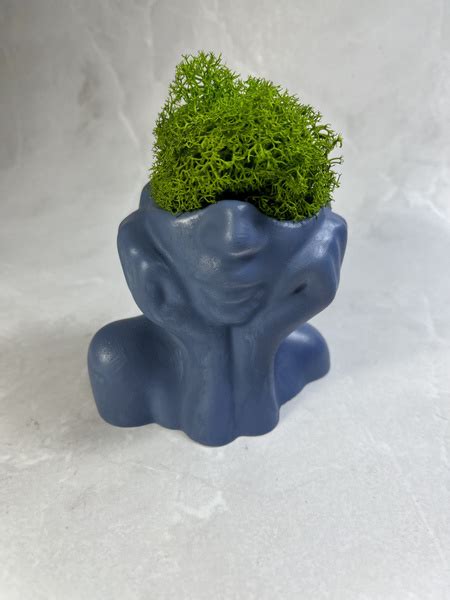 Украшение настольное интерьерное Мох купить по доступным ценам в интернет магазине Ozon