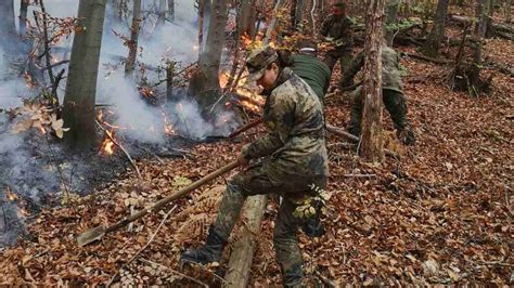 Бедствено положение Пожарът в Хасковско гори на фронт от 15 км Nova