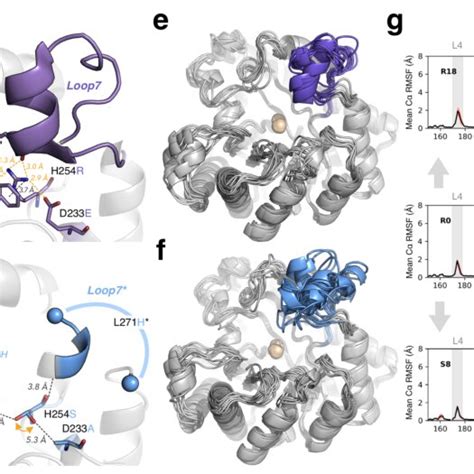 A New Structural Adaptation In The Ser Trajectory Reveals An Download Scientific Diagram