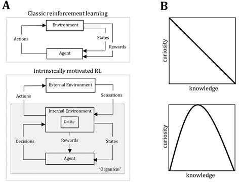 A Intrinsically Motivated Reinforcement Learning Adapted From [9] Download Scientific