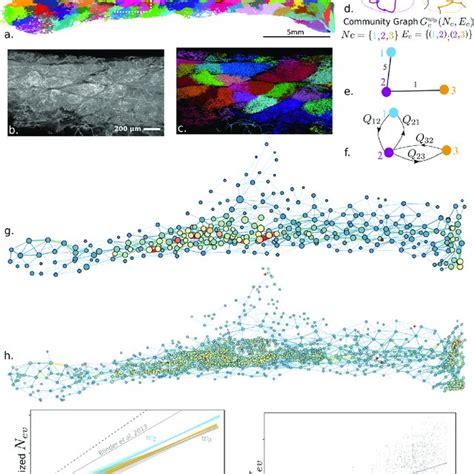 Vascular Network Statistics A Schematic Representation Of The Download Scientific Diagram