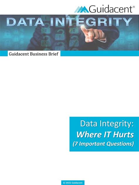 Business Intelligence Fundamentals Guidacent