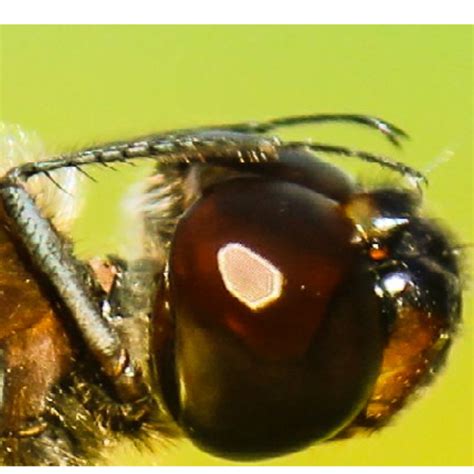 Dengue Cases In The Philippines Kaggle