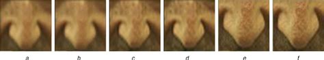Reconstructed Hr Solutions For ‘189080 Image At Magnification