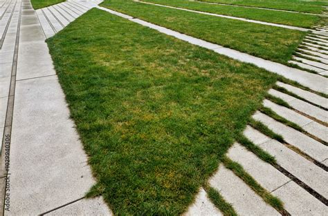 Stem Rust Also Known As Cereal Rust Black Rust Red Rust Or Red Dust Is Caused By The Fungus