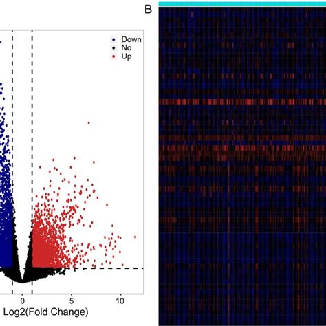 Differential Expression Of Protein Coding Genes In Patients With