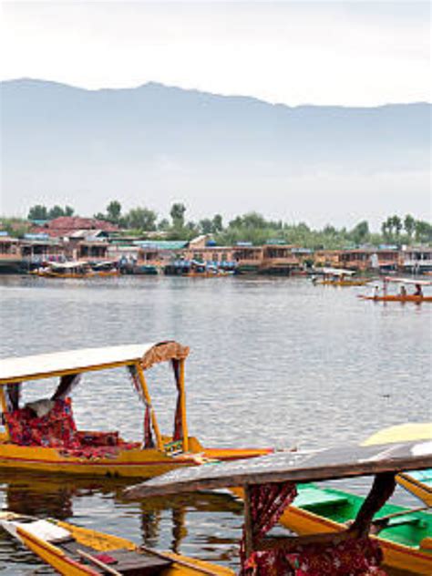 मुंह मांगी कीमत पर दुनिया खरीदती है कश्मीर के ये खास सामान Ipl में भी