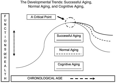 Frontiers Brain Plasticity And Motor Practice In Cognitive Aging