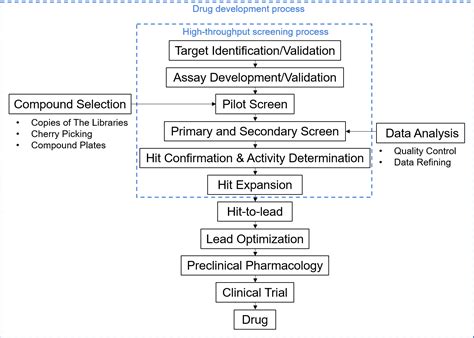 High Throughput Screening Services Boc Sciences