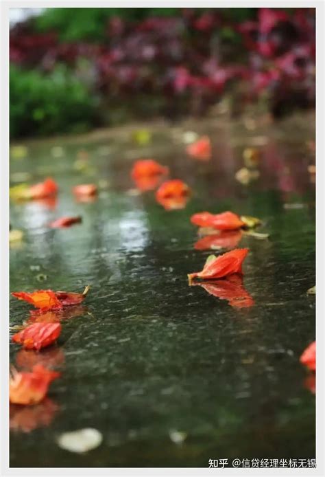 转感悟 知乎