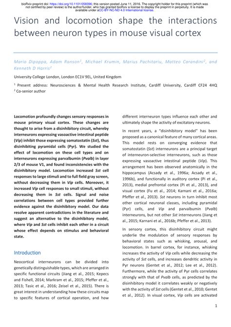 pdf vision and locomotion shape the interactions between neuron types