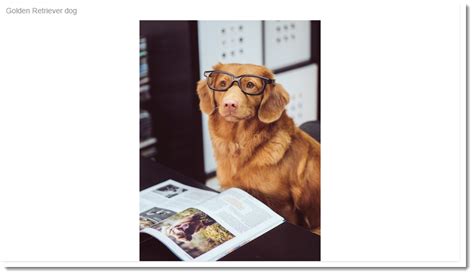 How Can I Insert Images Into An Intellifront Bi Dashboard