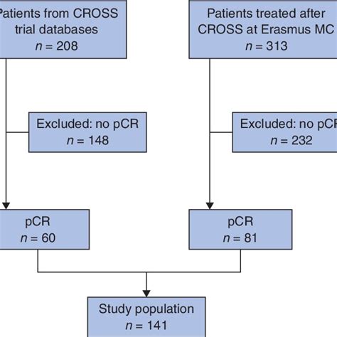 Study Flow Chart PCR Pathological Complete Response Download Scientific Diagram