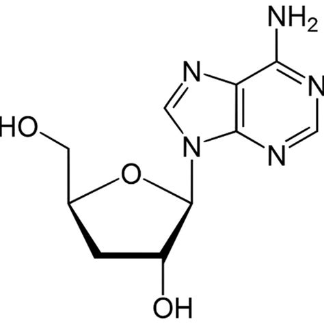 Molecular Structure Of Cordycepin Cdn Download Scientific Diagram