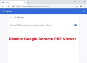 How To Disable Google Chrome PDF Viewer TechCult
